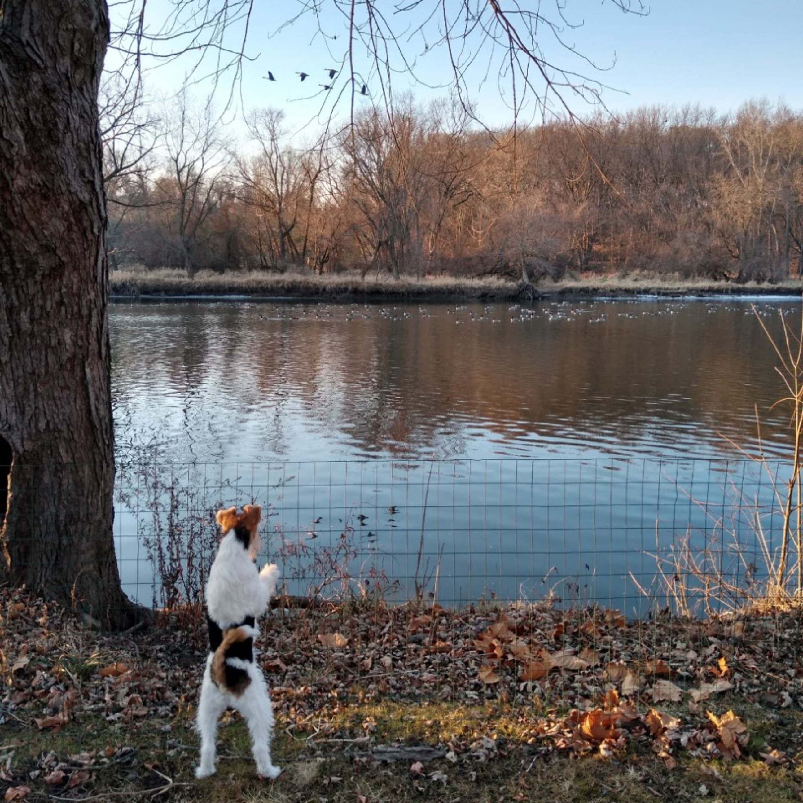 Faculty | Philosophy - College of Liberal Arts and Sciences | The University of Iowa